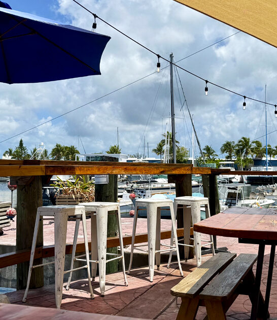 florida oysters laid back ftr