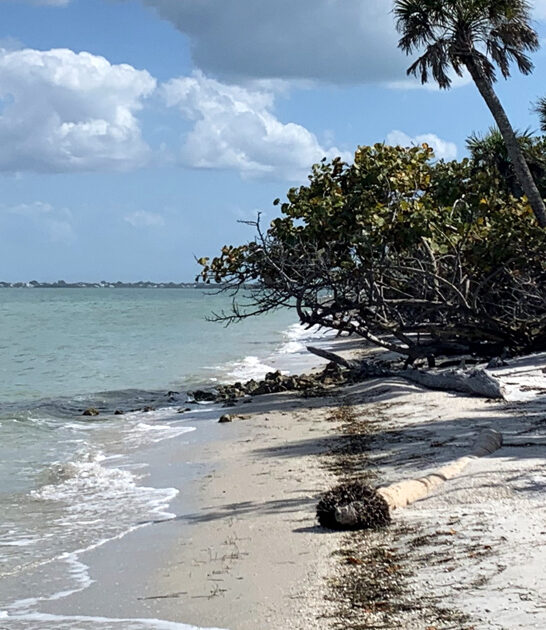 florida paradise state park ftr