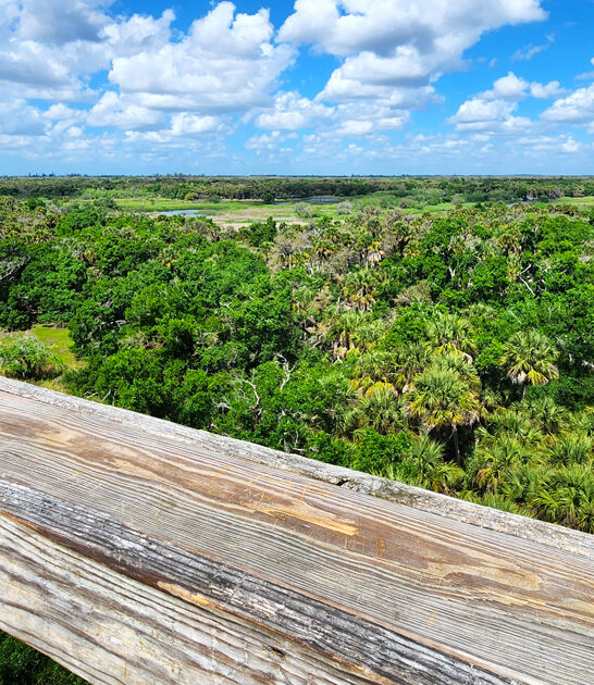 florida perfect dreamy park ftr