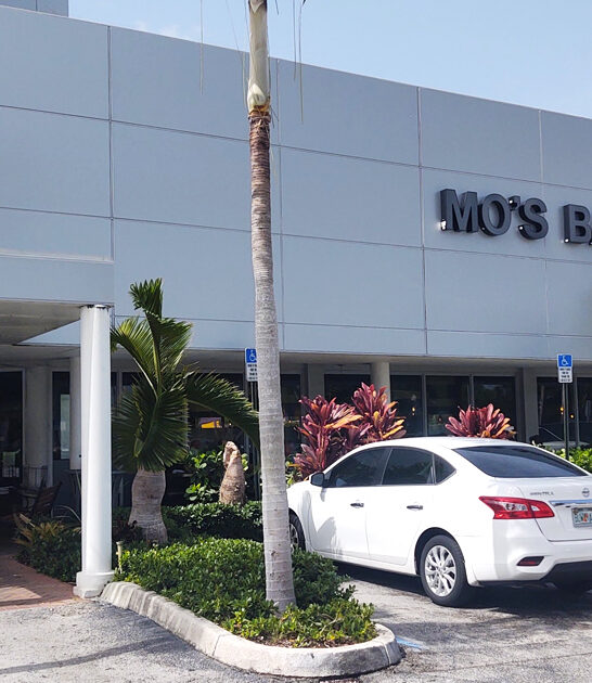 florida restaurant sandwich beef ftr