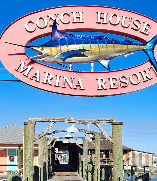 florida sea themed restaurant ftr