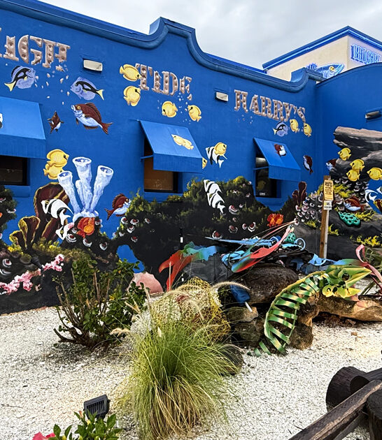 florida seafood funky restaurant ftr