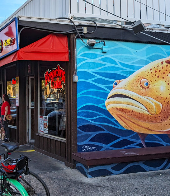 florida seafood shack adventures ftr