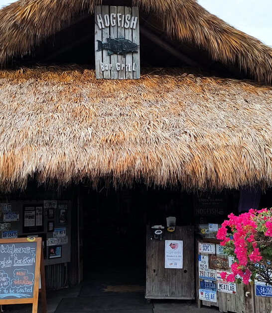 florida seafood tacos drive ftr