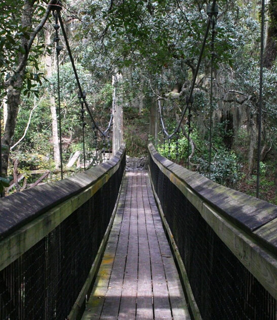 florida secret nature park ftr