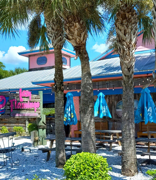 florida shack buffalo wings ftr