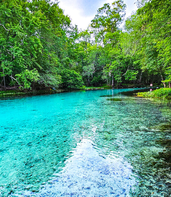 florida state park beautiful ftr