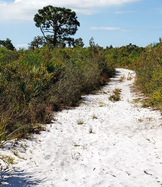 florida state park secluded ftr