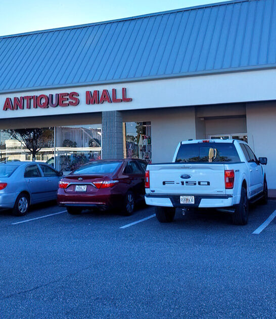 florida store biggest bargains ftr