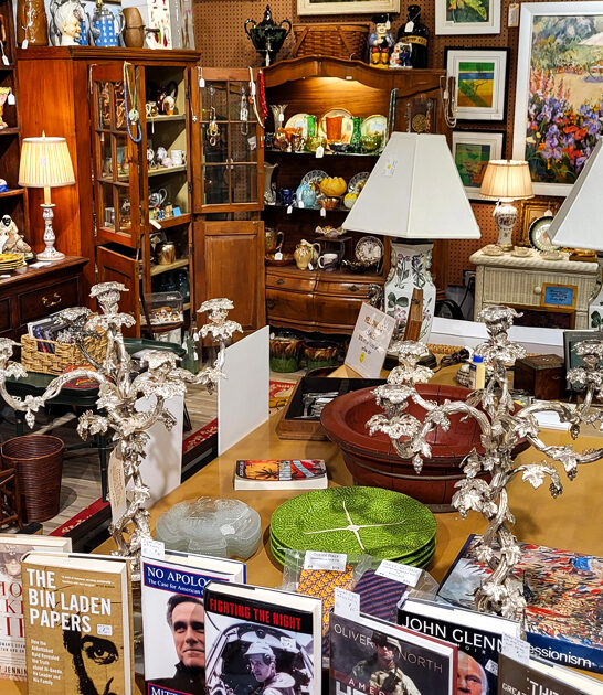 florida store browsing antique ftr