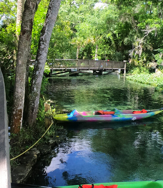 florida stunning park trails ftr