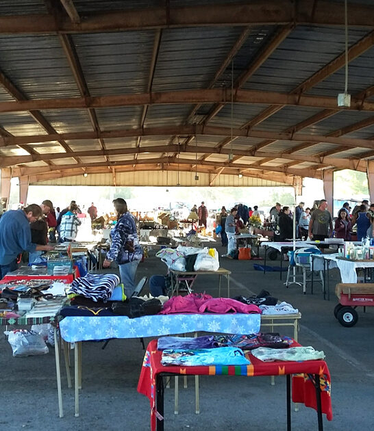 florida swap meet shopping ftr