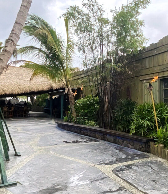 florida tiki bar chicken ftr