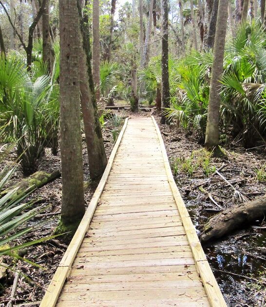 florida unknown state park ftr