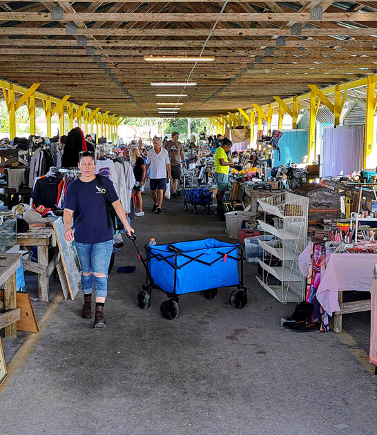 florida worth bargains markets ftr