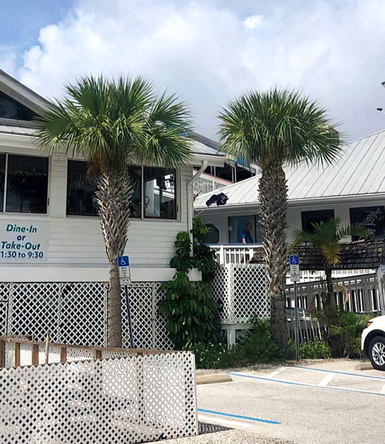 florida worthy grouper sandwich ftr