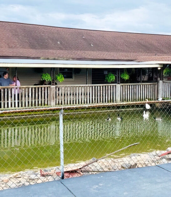 fried catfish south carolina ftr