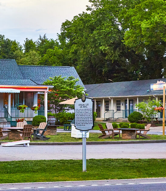 fried chicken cafe tennessee ftr