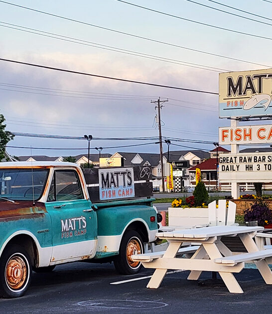 fried clams delaware delicious ftr
