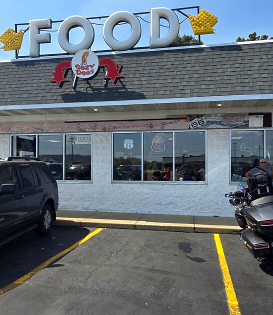 fried mushroom iconic illinois ftr