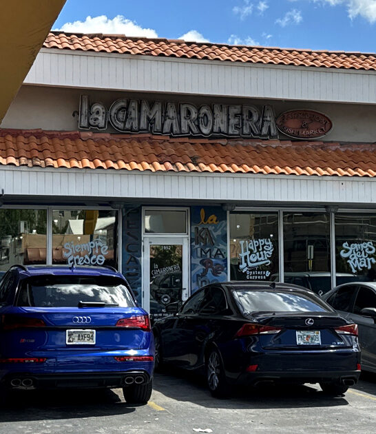 fried oysters florida drive ftr