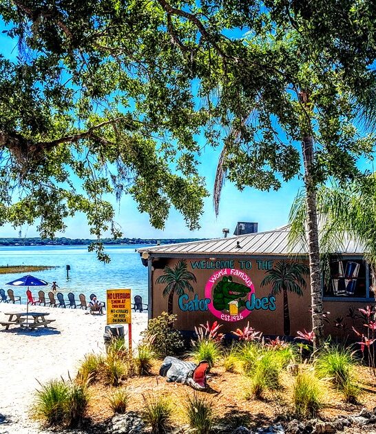 fried pickle restaurant florida ftr