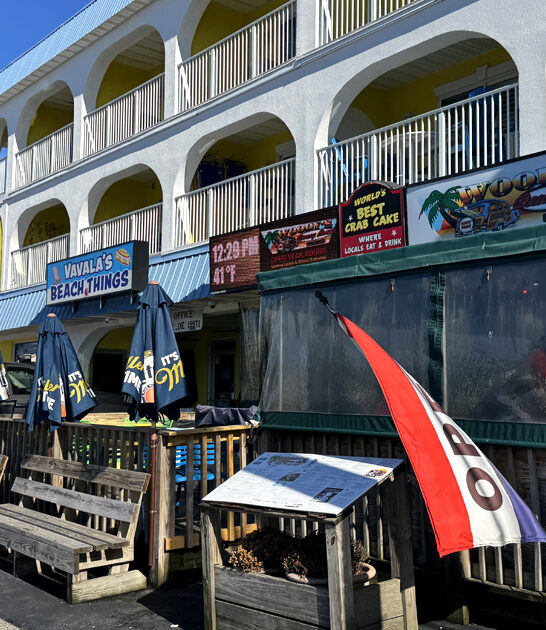 fried pickles restaurant delaware ftr