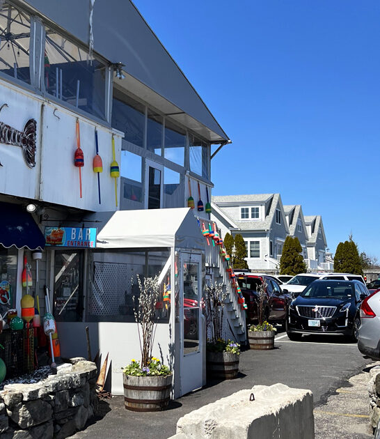 fried scallops new hampshire ftr