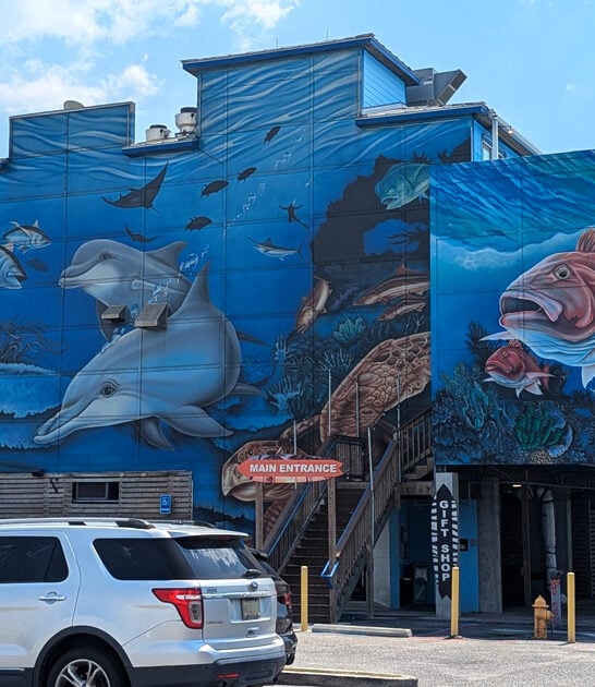 funky mississippi seafood restaurant ftr