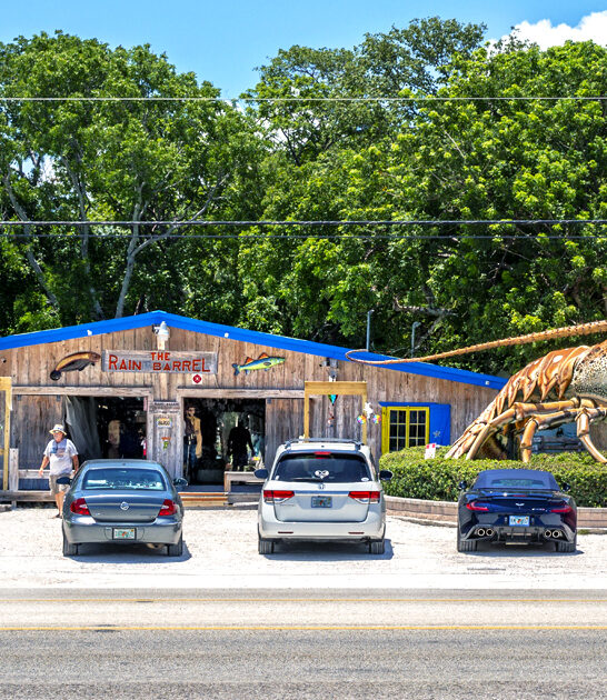 funky roadside attraction florida FTR