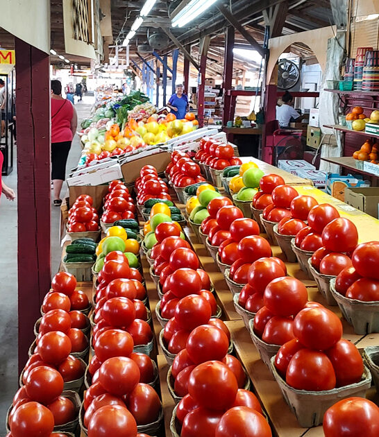 gargantuan flea market florida ftr