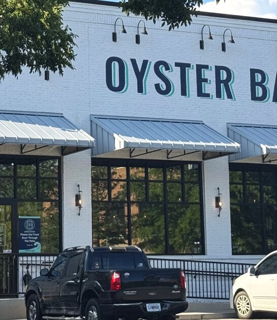 georgia fish chips best ftr