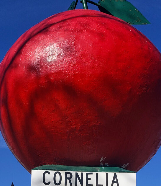 georgia roadside fun destination ftr