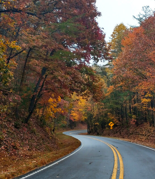 georgia scenic drive route ftr