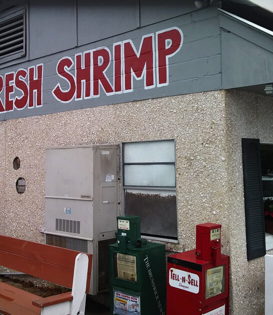 georgia seafood restaurant finds ftr