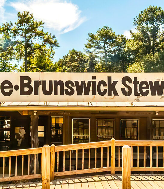 georgia small town bbq ftr