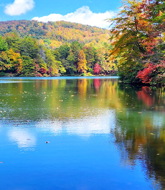 georgia stunning dream park ftr