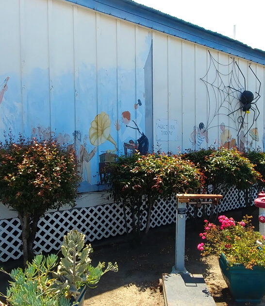 gigantic antique california fills ftr