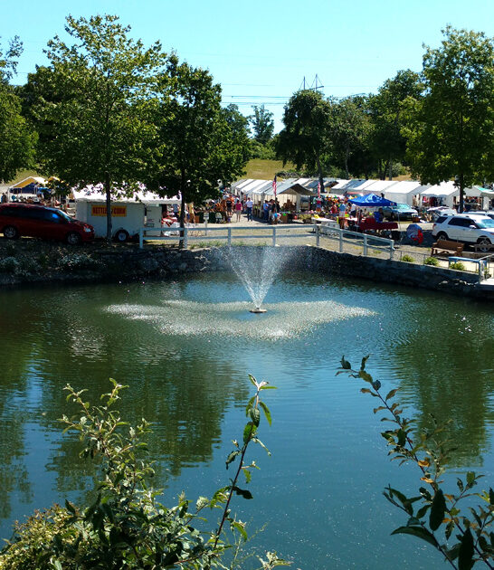 gigantic bazaars new hampshire FTR