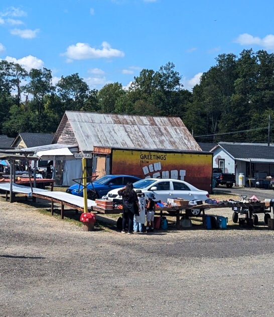 gigantic bazaars new jersey ftr