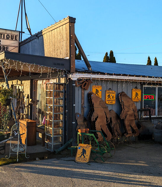 gigantic bazaars washington ftr