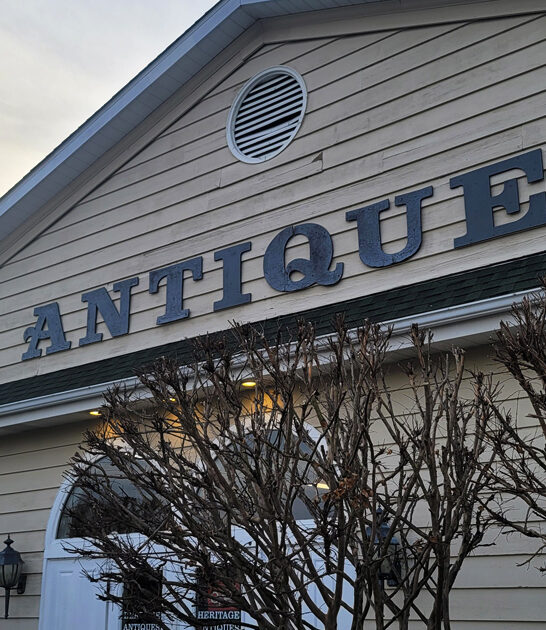 gigantic delaware true vintage ftr