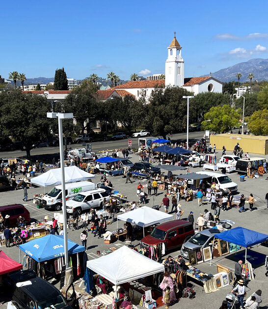 gigantic flea california amazing ftr