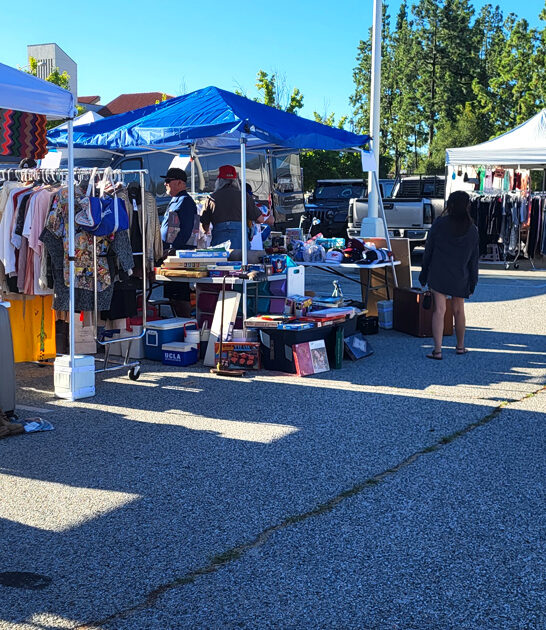 gigantic flea california finds ftr