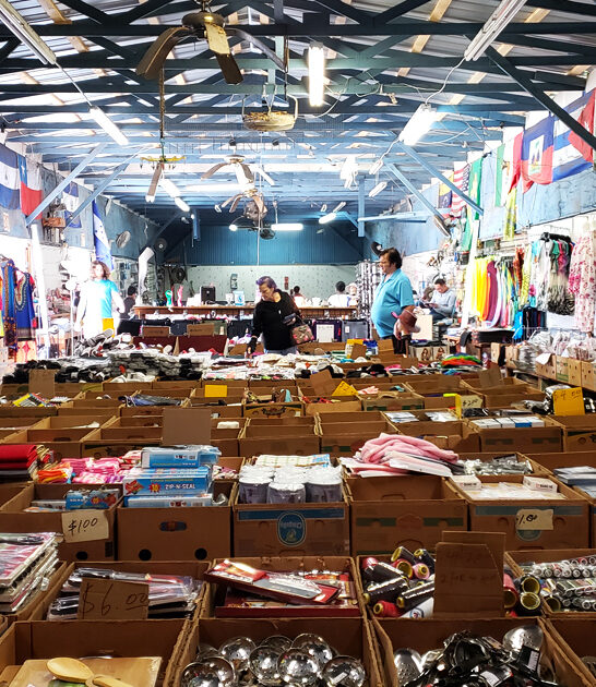 gigantic flea florida further ftr