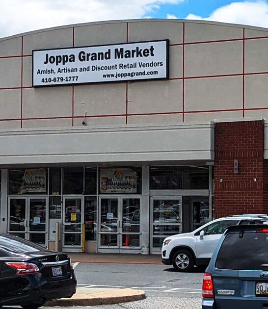 gigantic flea market maryland ftr
