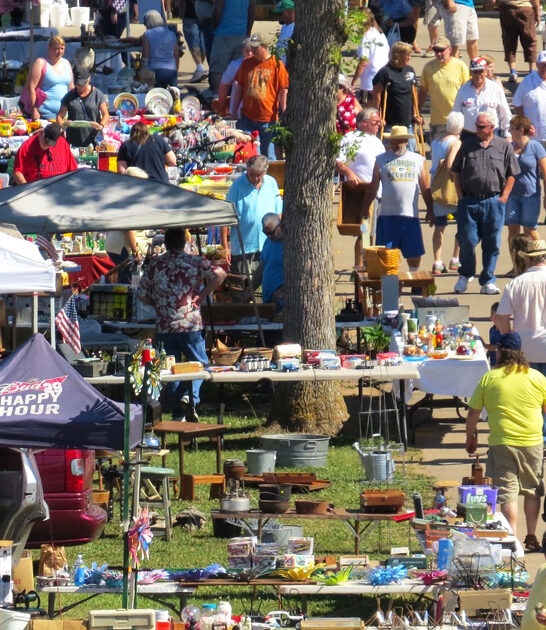 gigantic flea wisconsin rethink ftr