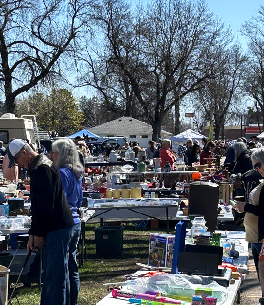 gigantic flea wisconsin worth ftr