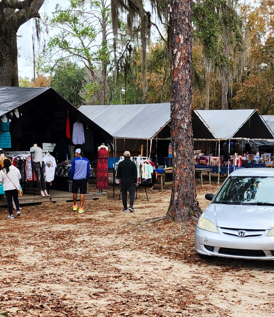 gigantic markets georgia drive ftr