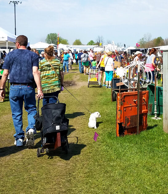 gigantic markets iowa lose ftr